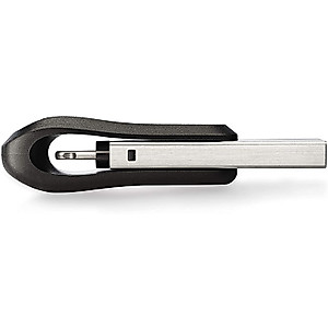 SanDisk 256GB iXpand Flash Drive Go for iPhone, iPad, Computer, Laptop - USB 3.0 Dual Drive with Reversible Lightning/TypeA Connectors SDIX60N-256G-GN6NE Bundle with 1 Everything But Stromboli Lanyard