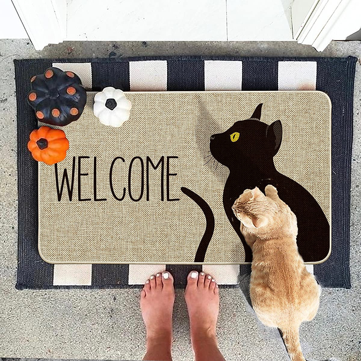 Artoid Mode Black Cat Welcome Decorative Doormat, Pet Halloween Floor Mat Switch Mat for Indoor Outdoor 17 x 29 Inch