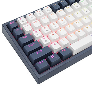 HUO JI CQ84 Wireless Mechanical Gaming Keyboard, Programmable RGB Backlit, Bluetooth, Red Switches, 84 Keys, Wired 60% Keyboard for iPad, iMac Android/Windows Tablet Laptop Desktop, White Blue