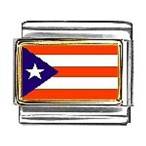Clearly Charming Puerto Rico Flag Italian Charm Bracelet Link