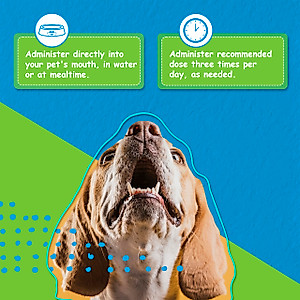 Nutrition Strength Digestive Care for Dogs, Natural Constipation Relief for Dogs and Puppies & Support for Diarrhea, Bloating, Bad Breath, Vomiting, Lack of Appetite, 60 Milliliters