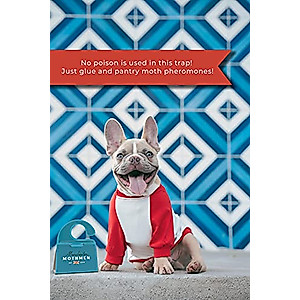 Manchester MOTHMEN Pantry Moth Traps with Pheromones Prime 5 Pack - 3-in-1 Moth Killer Non-Toxic Pest Trap for Indian Meal Moth, Flour Moth & Almond Moth