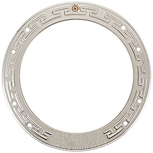 Pentair 79110600 Stainless Steel Face Ring Assembly Replacement Pool and Spa Light