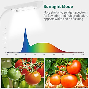 Diivoo Smart Grow Light for Indoor Plants, Full Spectrum Grow Lamp with Stepless Dimming, Bluetooth LED Plant Lights for Home, 360 Spin Gooseneck and Height Adjustable, Automatic Timer