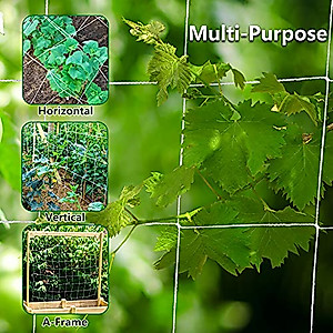 PullyBuy Soft Mesh Nylon Trellis Netting Roll - 5 x 350 ft Heavy Duty Garden Netting for Climbing Plants,Garden Melons Vegetables, Grape Racks, Hydroponic, 5x350ftnet