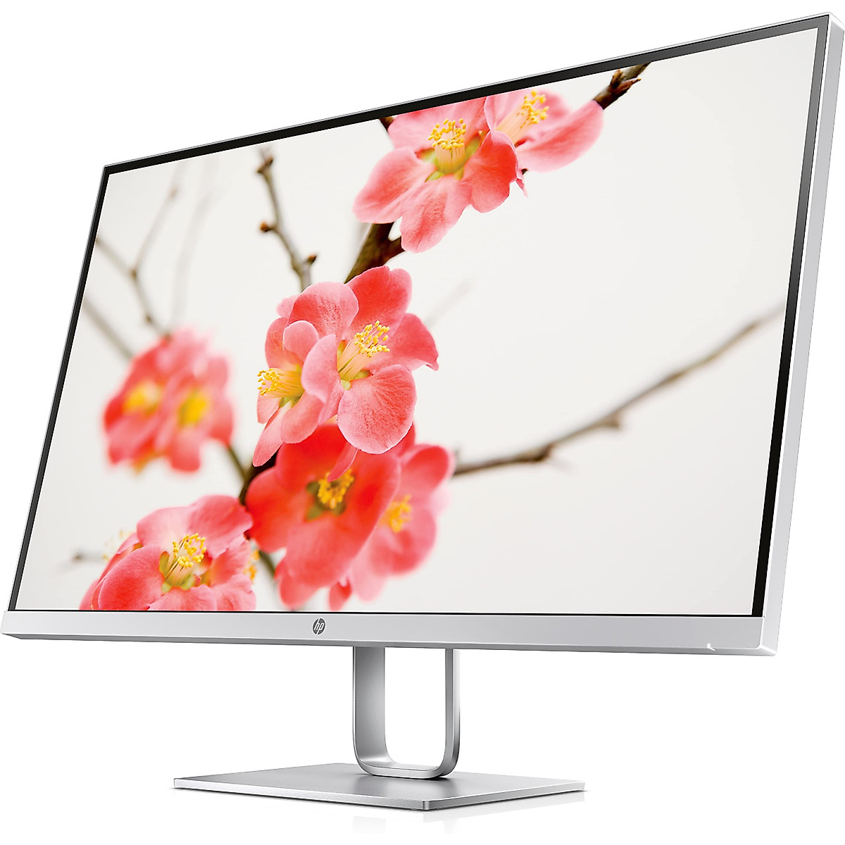 HP Pavilion 27q 27-inch QHD 2k 1440p IPS LED Monitor with AMD FreeSync Support, 100% sRGB, and VESA Mounting Bracket (1HR73AA#ABA) - Silver