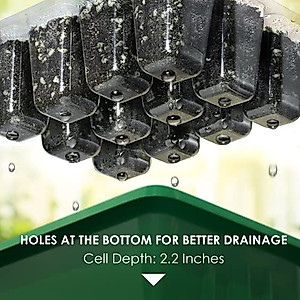 Moptrek ioGem Seed Starter Kit, Green 120 Cells Seed Starter Tray with Multiple Garden Tools, Transparent Seed Starter with Adjustable Ventilation Dial for Various Flowers, Herbs, Fruits Seeds