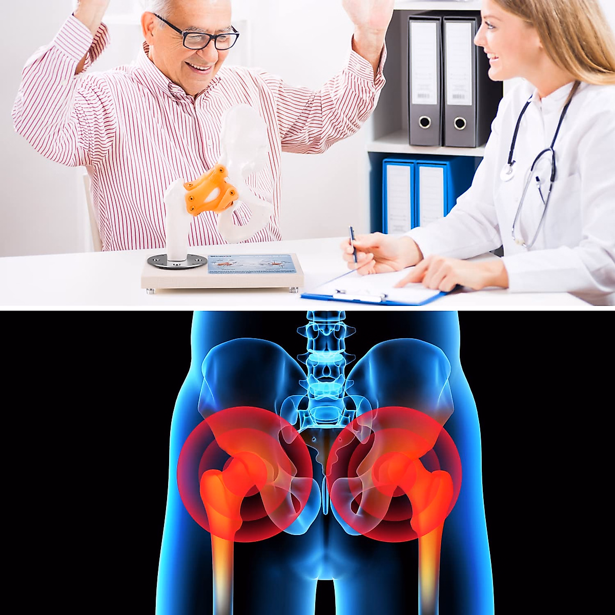 Human Hip Joint Model, Flexible 1:1 Anatomical Model Life Size with Ligaments 360° Rotatable Wooden Display Base, Anatomy Diagram for Classroom Education & Medical Training