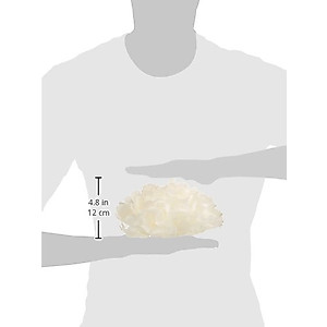 Ginger Ray Tissue Ivory Paper Party Poms Decoration, 5 Pack