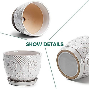 Greenaholics Owl Planters Ceramic Animal Plant Pots- 6.1 Inch White Succulents Aloe Planter Indoor Large Animal Flower Pots with Attached Tray and Drainage Hole for Cactus Snake Plant Decorative Gifts