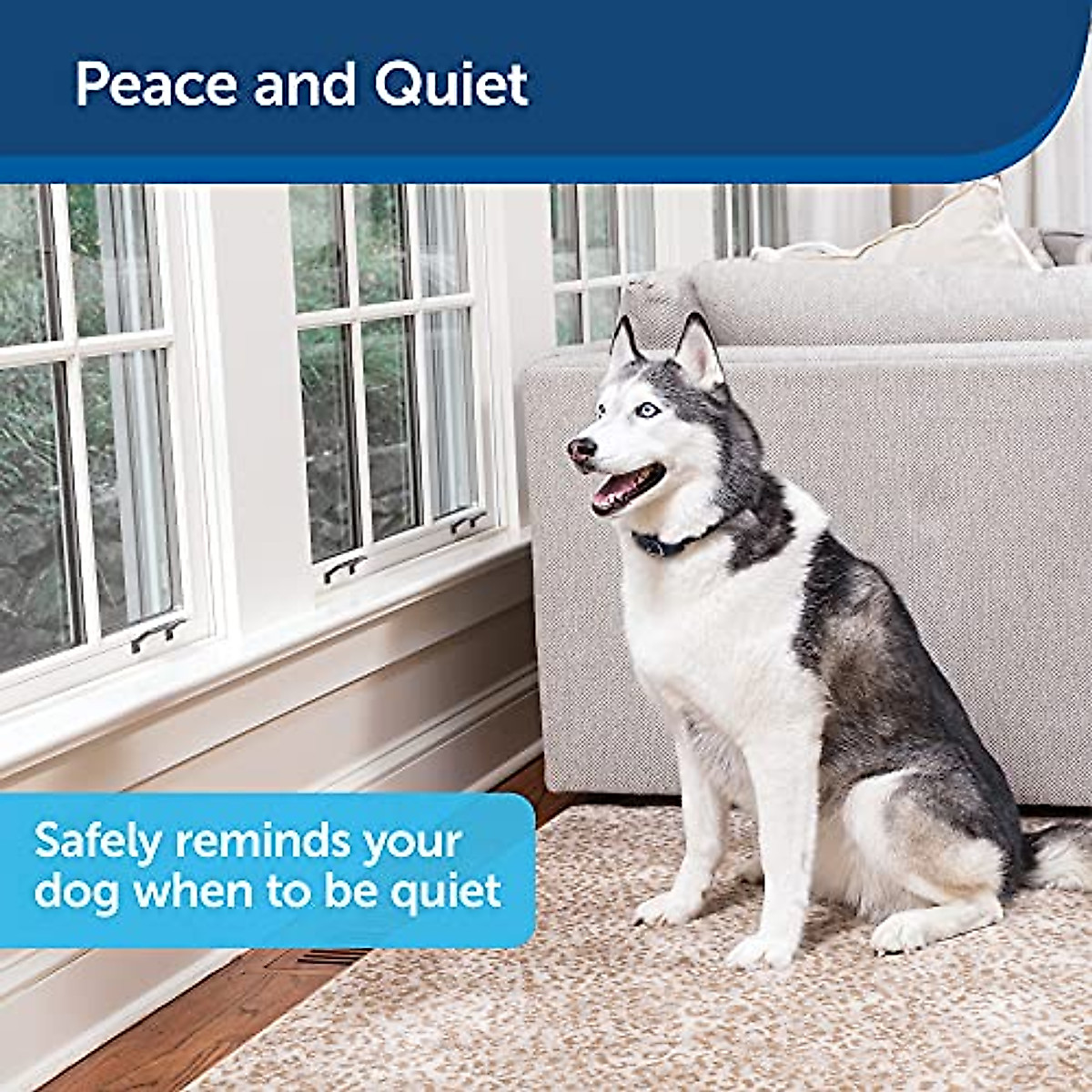 PetSafe Rechargeable Bark Collar, 15 Levels of Automatically Adjusting Static Correction - Rechargeable, Waterproof - Reduces Barking and Whining - for Small, Medium, and Large Dogs over 8 lb