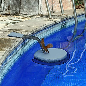 2 Pack Animal Saving Escape Ramp, Swimming Pool Accessories Lifesaver, Pool Critter Escape Ramp Rescues Saving Ducks, Chipmunks, Critters(Grey)