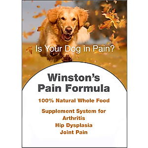 Winston's Pain Formula - for Dogs of All Ages and Sizes - 100% Natural Whole Food Supplement to Help Alleviate: Canine Arthritis, Inflammation and Joint + Hip Pain - 120 Chewable Tablets