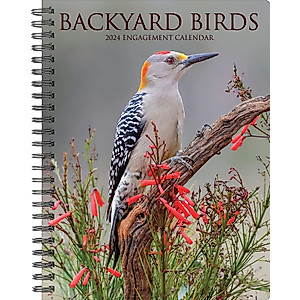 Willow Creek Press Backyard Birds Softcover Weekly Planner 2024 Spiral-Bound Engagement Calendar (6.5" x 8.5")