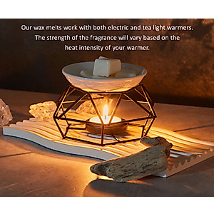 Fall or Winter Mix Wax Melts, 3 Pack – USA Made – Wax Cubes for Wax Melt Warmer, Masculine Autumn Spice Variety Pack - Harvest Time, Cranberry, and Pumpkin Spice