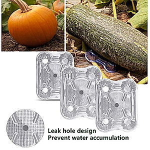 kemengsuer 100 Pieces Plastic Melon Cradle, Fruit & Vegetable Cradle Stands, Holds up to 20 lbs, Clear Plastic Melon Support Cradle for Keep Watermelon Off of The Ground(13.5 x 10.5cm/5.11 x 4.13inch)