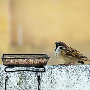 2 Pieces 7 x 7 x 2.7 Inch Metal Ground Bird Feeder Compact Platform Bird Seed Tray and 4 Pieces Elastic Rope for Outdoor Dove Birds or Squirrels Garden Decoration (Black)