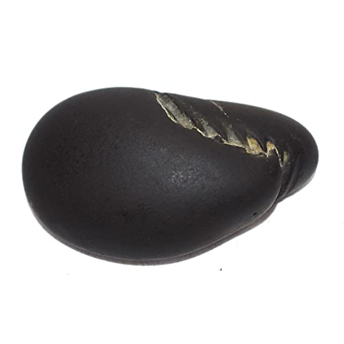 Laxmi Vishnu Paduka Shaligram - Gandaki River Nepal, Fossil, Fossil