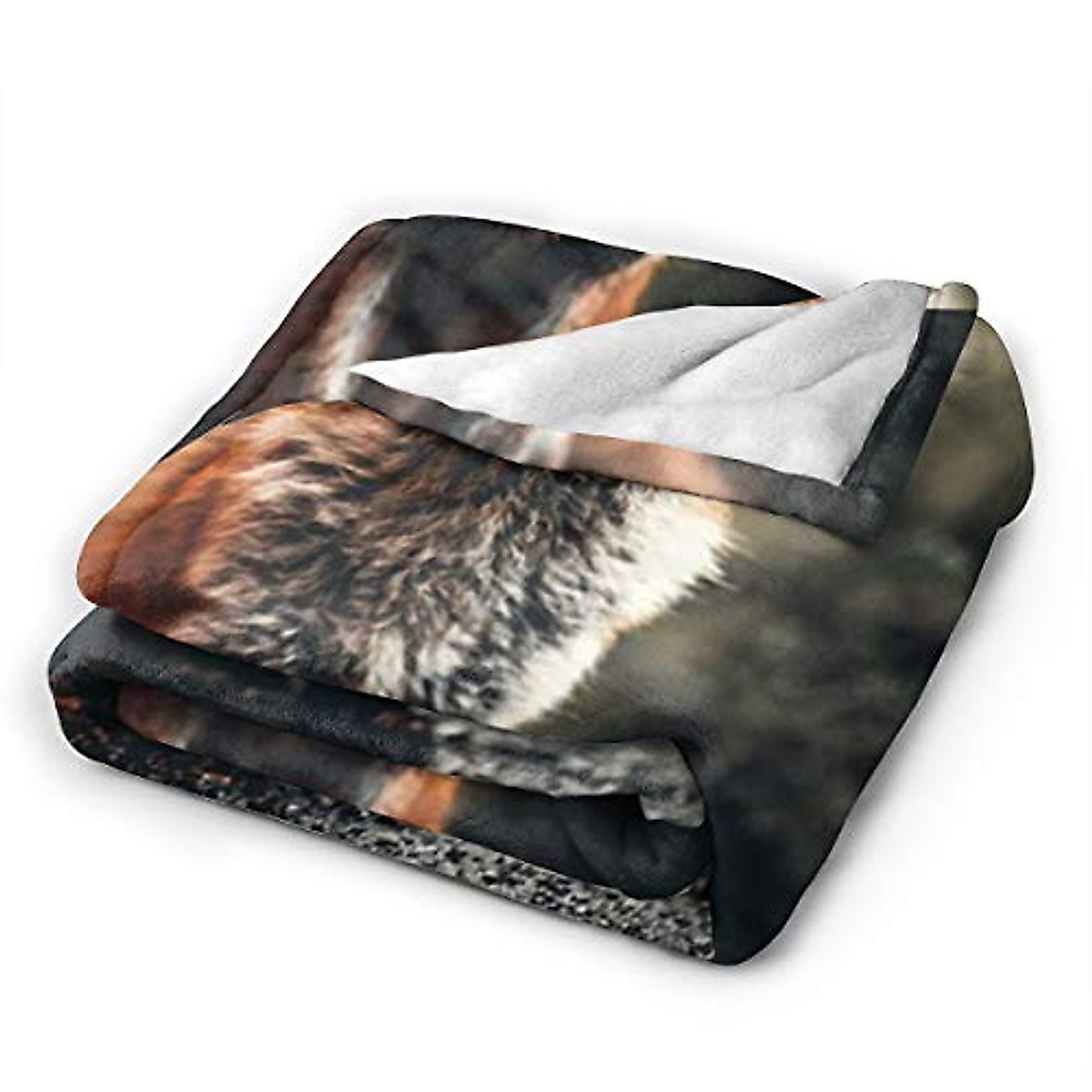 JASMODER Throw Blanket Fox Sitting On Ground Soft Microfiber Lightweight Cozy Warm Blankets for Couch Bedroom Living Room