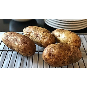 Russet Potato Seeds, 70 TPS True Potato Seeds Russet Yellow Mix Potatoes Berry I Planting Ornaments Garden Perennials Simple to Grow Pots Gift