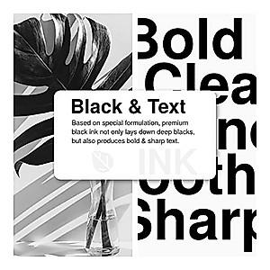 Economink 64XL Black Ink Cartridge, Remanufactured Replacement for HP 64 HP64 Worked with HP Envy Photo 7855 7155 6255 7164 6222 6252 7134 7830 7864 7800 6230 6220 6234 7120 Tango Smart Printer