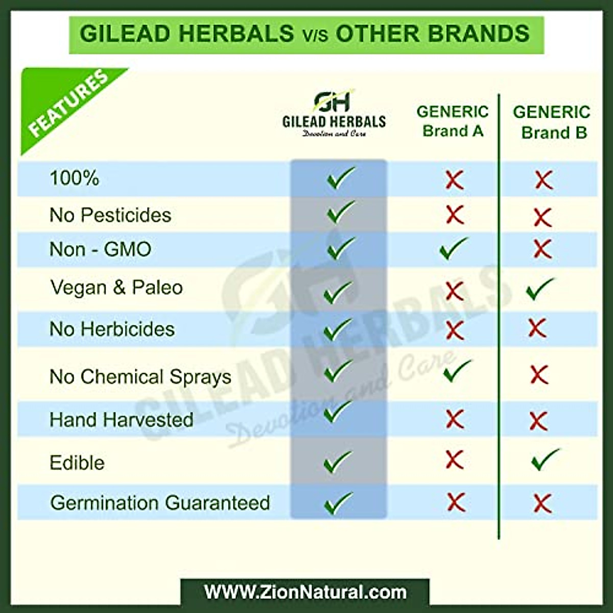 Gilead Herbals Moringa Seeds - 1000+ Seeds Approx.- Wingless Seeds - PKM1 Variety - 8 Oz - Snacking - Planting - Moringa Oleifera Seeds - Malunggay - Semillas De Moringa - Drumstick - Non-GMO