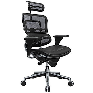 Eurotech Seating Ergohuman High Back Mesh Managers Chair, Black