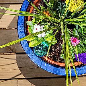 Wyndham House, 6 Piece Small Watering Globe Set, Colorful Hand-Blown Glass Plant Watering System