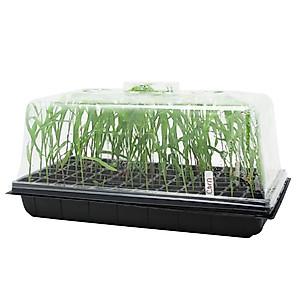 Viagrow VTD300-5 Clear Humidity, Propagation Plastic Tall Dome (5 Pack)