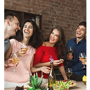 Cheers Flamingo Glass Wine Stopper – Elegant Vacuum Seal Reusable Zoo Animal Bird Wine Bottle Stopper – Airtight Leak Proof Bottle Topper Cork Plug – Cute Home Decor & Bar Tool Accessory Gift