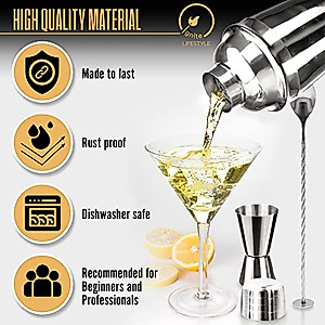Ignite Lifestyle Cocktail Shaker Set - 24oz Martini Shaker with Built-in Strainer, Recipe Book, Muddler, Mixing Spoon, Measuring Jigger, 2 Liquor Pourers - Drink Shaker, Bartender Kit for Home Bars