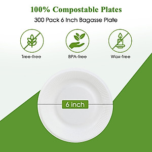 Vplus 100% Compostable Small Paper Plates, 300 Pack 6 Inch Disposable Paper Plates, Uncoated Biodegradable Plates Made of Sugar Cane Fibers, Perfect for Sandwich, Cake, and Snack