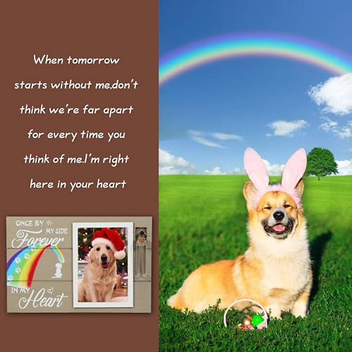 Pet Memorial Picture Frame for Dog, Pet Dog Rainbow Bridge Picture Frame with Ashes Urn, Fur Baby Passing Away Gifts to Dog Owners, Pet Loss Remembrance Photo Frame, Pet Puppy Keepsake to Condolences
