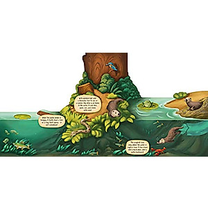 Discovering the World of Nature Along the Riverbank (Happy Fox Books) Board Book for Kids Ages 3-6 to Learn About Animals Living In, Near, or Under Water, plus Fun and Educational Facts (Peek Inside)