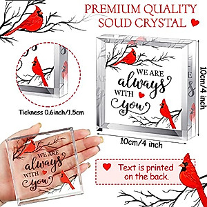 Sympathy Gift Red Cardinal Gifts Bereavement Gift Crystal Glass Memorial Condolence Gift for Loss of Loved One Table Centerpieces Memory Funeral Remembrance(Sympathetic Style,4 x 4 x 0.6 Inch)