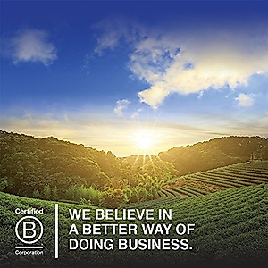 Garden of Life Organic Fermented Mushroom Complex - RM-10 Immune System Supplement with Selenium, Vegetarian, 120 Count