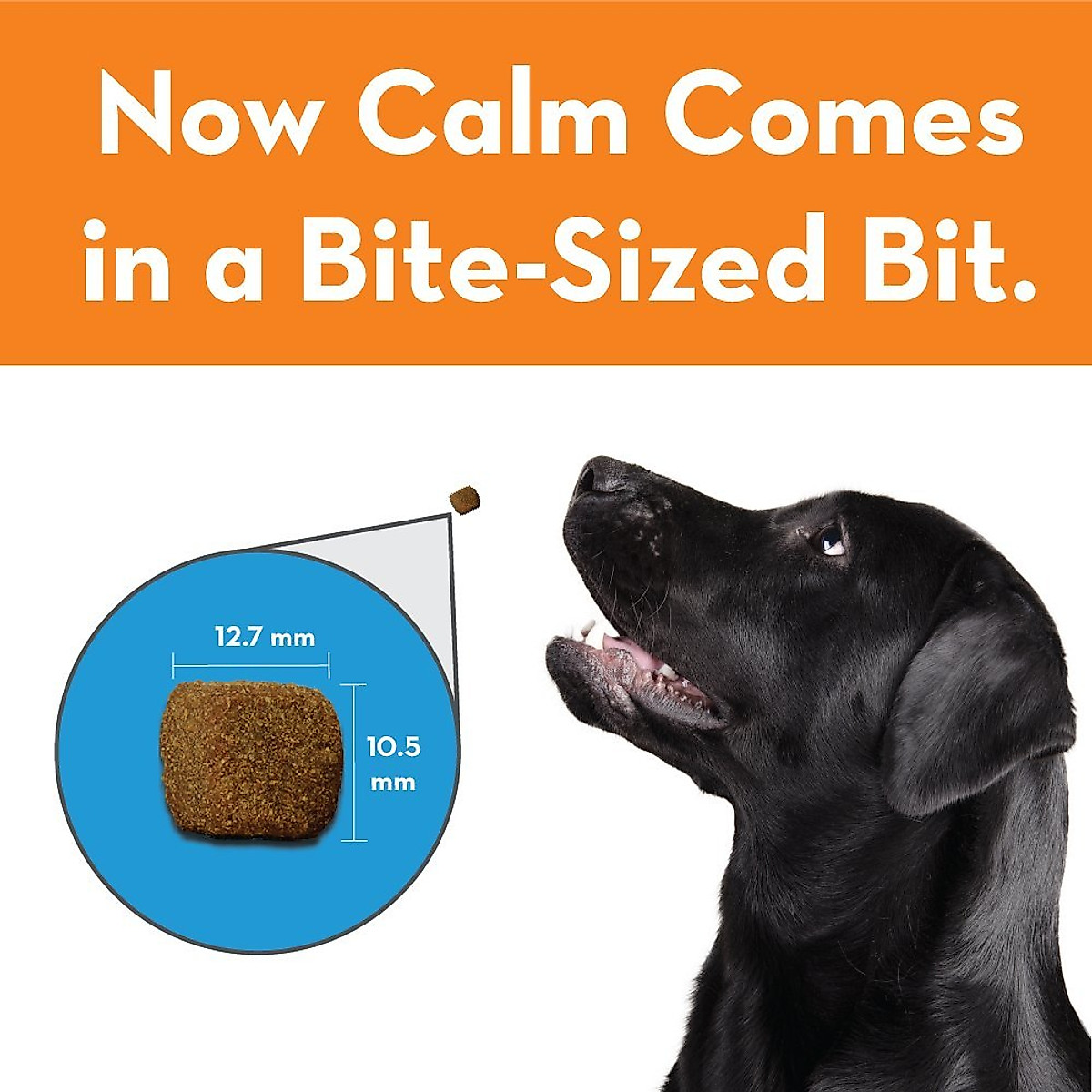ThunderWunders Dog Calming Chews | Thiamine, L-Tryptophan, Melatonin and Ginger | Can Help Relieve Stress from Separation, Storms, Fireworks & Travel (180 Count)