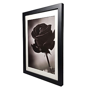 FUNTRESS Pictures Frame Collages for Diplomas Wall Hanging Poster Frame Wooden Living Room Pictures Frame with Mat (10x14 2 Pieces, Black)