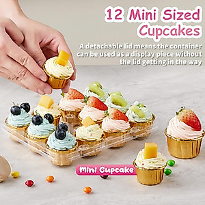 (12 Pack x 30 Sets) Gencywe Mini Cupcake Containers with 375 Pack Cupcake Liners, Plastic Cupcake Holder with High Dome, Stackable Mini Cupcake Boxes Carrier, Clear Disposable Cupcake Trays -MINI SIZE