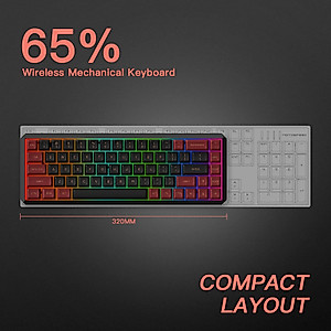 Darmoshark 2.4GHz Wireless/Wired Mechanical Keyboard — 65% (68 Key) Gaming Keyboard, Hot-Swap Switches, Programmable Macros, RGB LED Backlit, Type-C, PBT Spherical Keycap(Gateron Brown, Cherry Red)