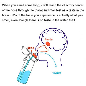 Wmool 17 Pcs Flavor Pods for Air Up Water Bottle, Fruit Fragrance Rings Recyclable for Air Up Water Bottle Flavor Pods Creative Water Cup Scented Pods for Outdoor Sports