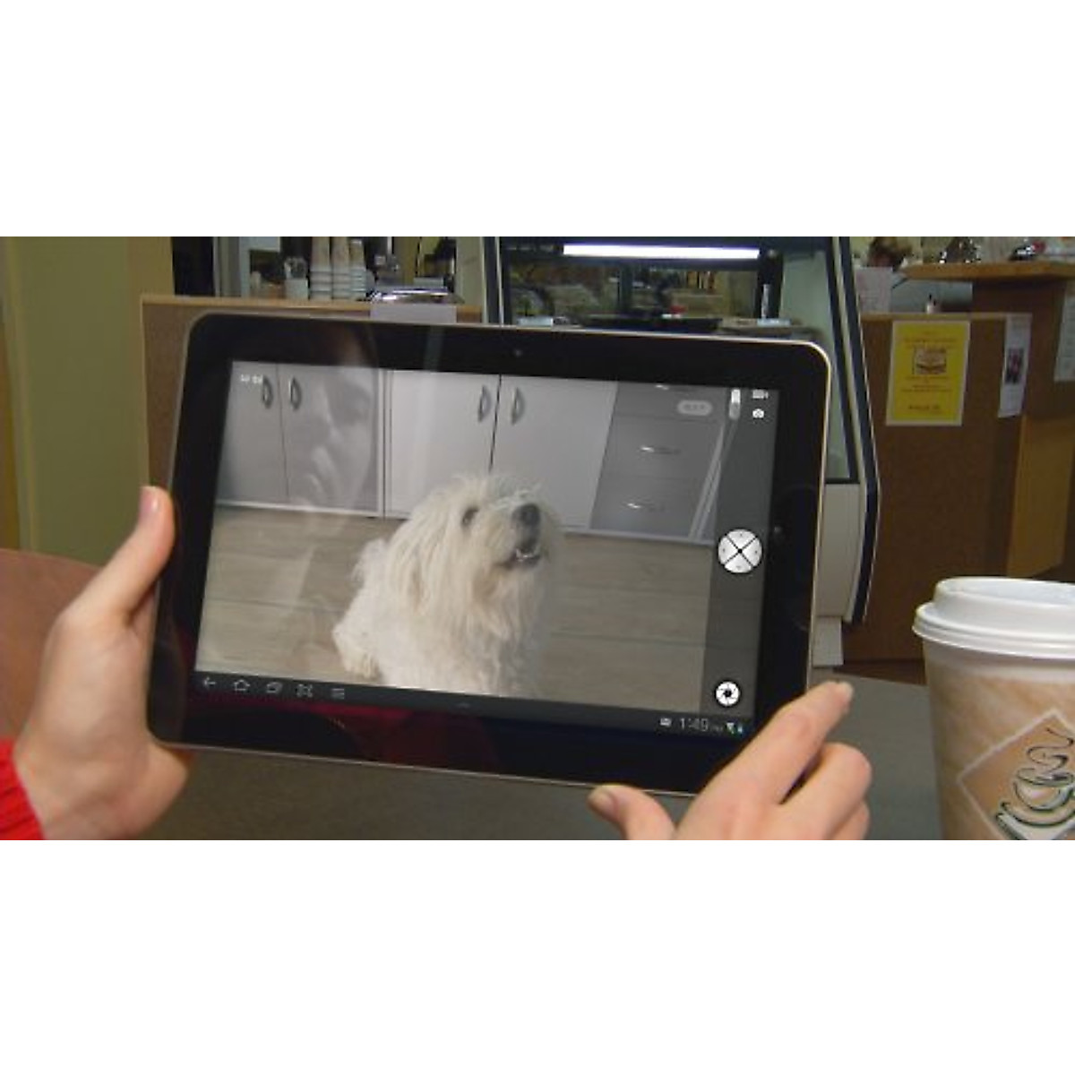 Motorola Scout1 Wi-Fi Pet Monitor for Remote Viewing with iPhone and Android Smartphones and Tablets, Black