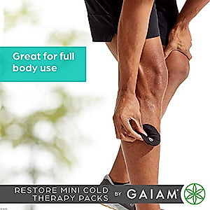 Gaiam Mini Cold Therapy Ice Packs for Injuries, Post-Workout Recovery, and Pain Relief - Includes 2 Cold Packs, 1 Pouch, 5 Adhesive Stickers, and 1 Freezer Bag - Convenient and Reusable
