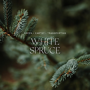 Antica Farmacista Reed Diffuser White Spruce, 8.45 Fl Oz