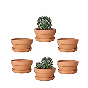 vensovo 5.7 Inch Terracotta Shallow Succulent Pot - 6 Pack Terra Cotta Clay Pots with Saucer, Cacuts Terra-Cotta Indoor and Outdoor Planters with Drainage Hole