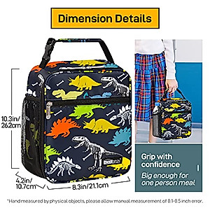 Buringer HOMESPON Reusable Lunch Bag Insulated Lunch Box Bento Cooler Tote with Front Pocket For Office/Outdoor (Color dinosaurs)