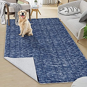 RUGSREAL Solid Machine Washable Area Rug Soft Low-Pile Modern Contemporary Area Rug Non-Slip Throw Indoor Carpet for Living Room Bedroom Kids Room, 4' x 6' Blue