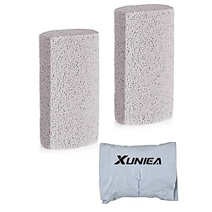 2 Pieces Pet Hair Remover for Cat Hair Removal Pumice Stone Tool Carpet Dog Fur Removal Tool for Car Couch Furniture Bedding Easy to Clean (4 Inches)