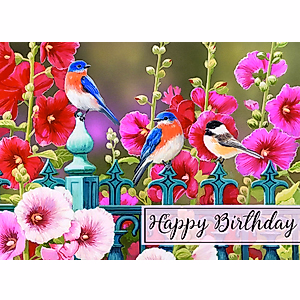 Crown Point Graphics Shared Blessings Birthday Birds 12 Boxed Birthday Cards, Beautiful Birds with KJV Scripture, Art by William Vanderdasson