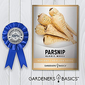 Parsnip Seeds for Planting - Harris Model Heirloom, Non-GMO Vegetable Variety- 1 Gram Approx 200 Seeds Great for Summer, Fall, and Winter Gardens by Gardeners Basics